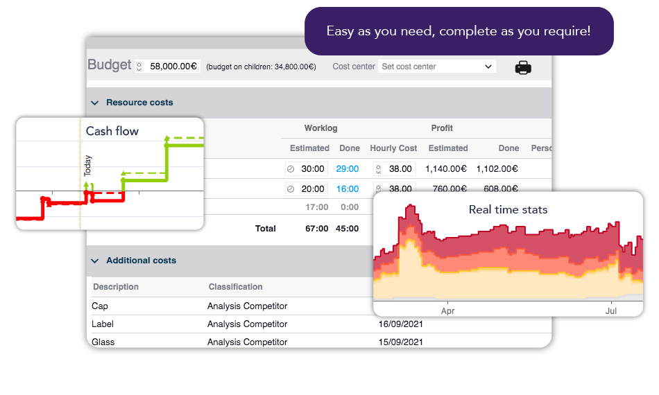 Project Cost Management - Twproject
